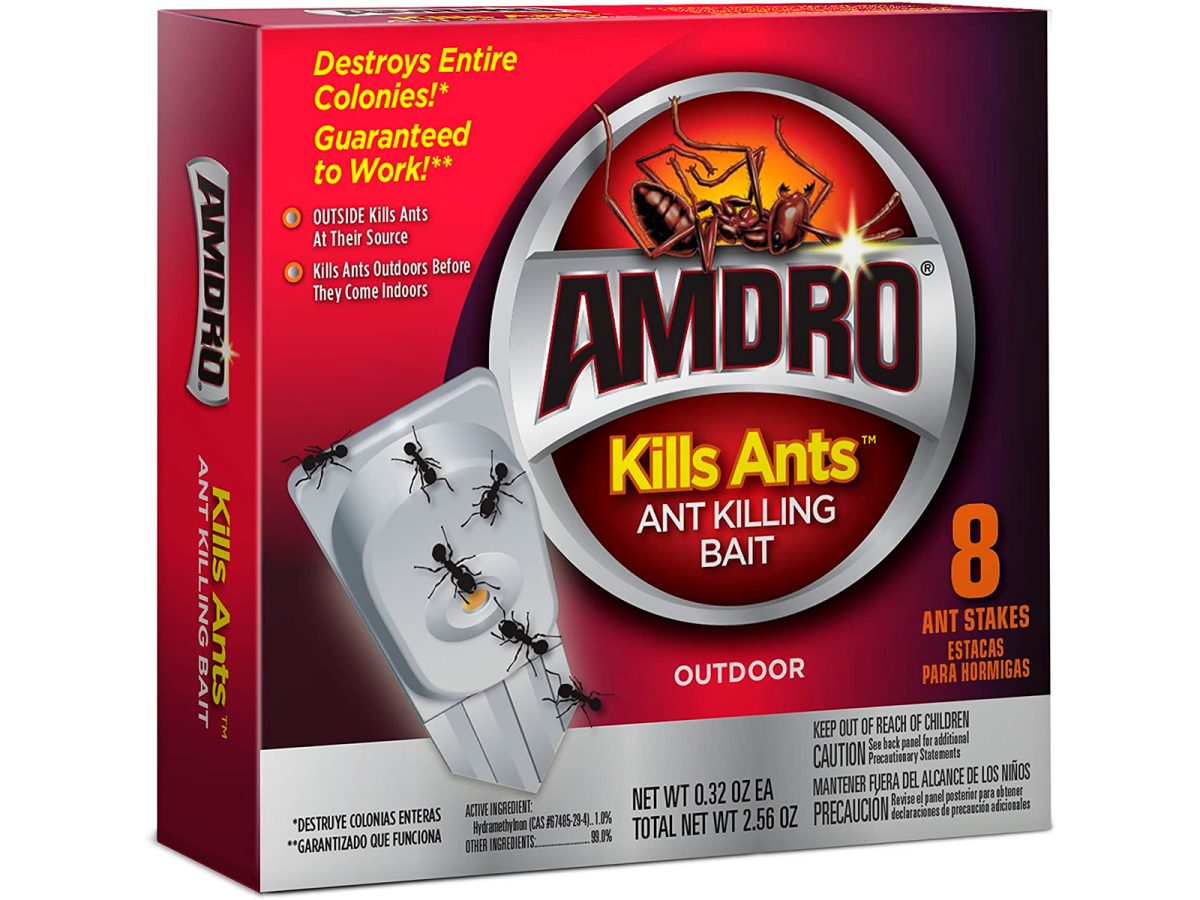 How to Get Rid of Ants in Your House: Complete Guide for 2025
