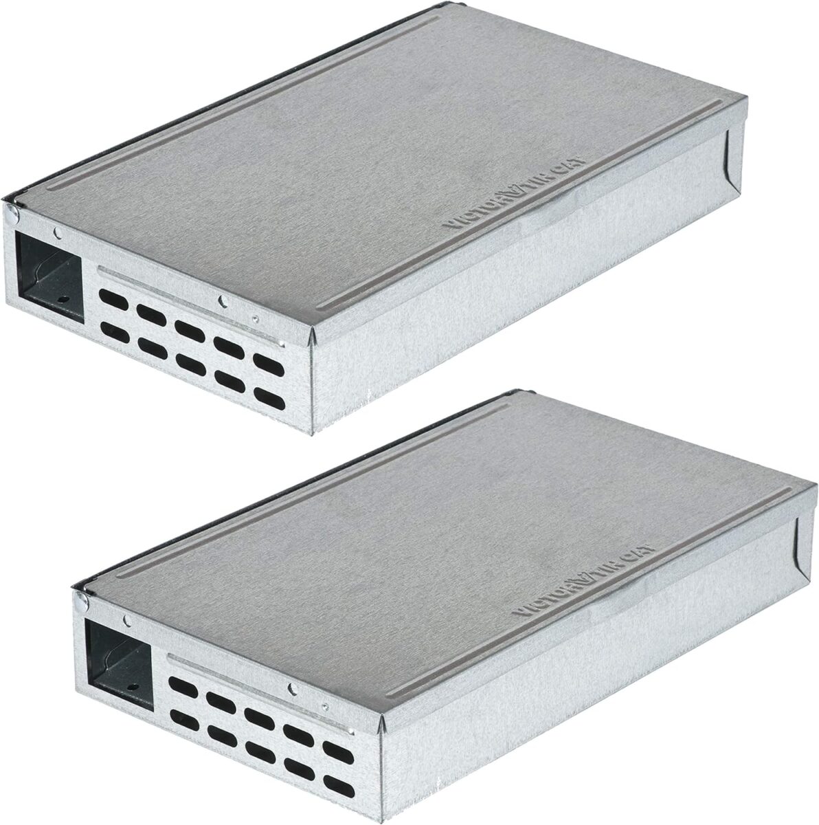 How to Get Rid of Field Mice: Effective Methods to Eliminate and ...