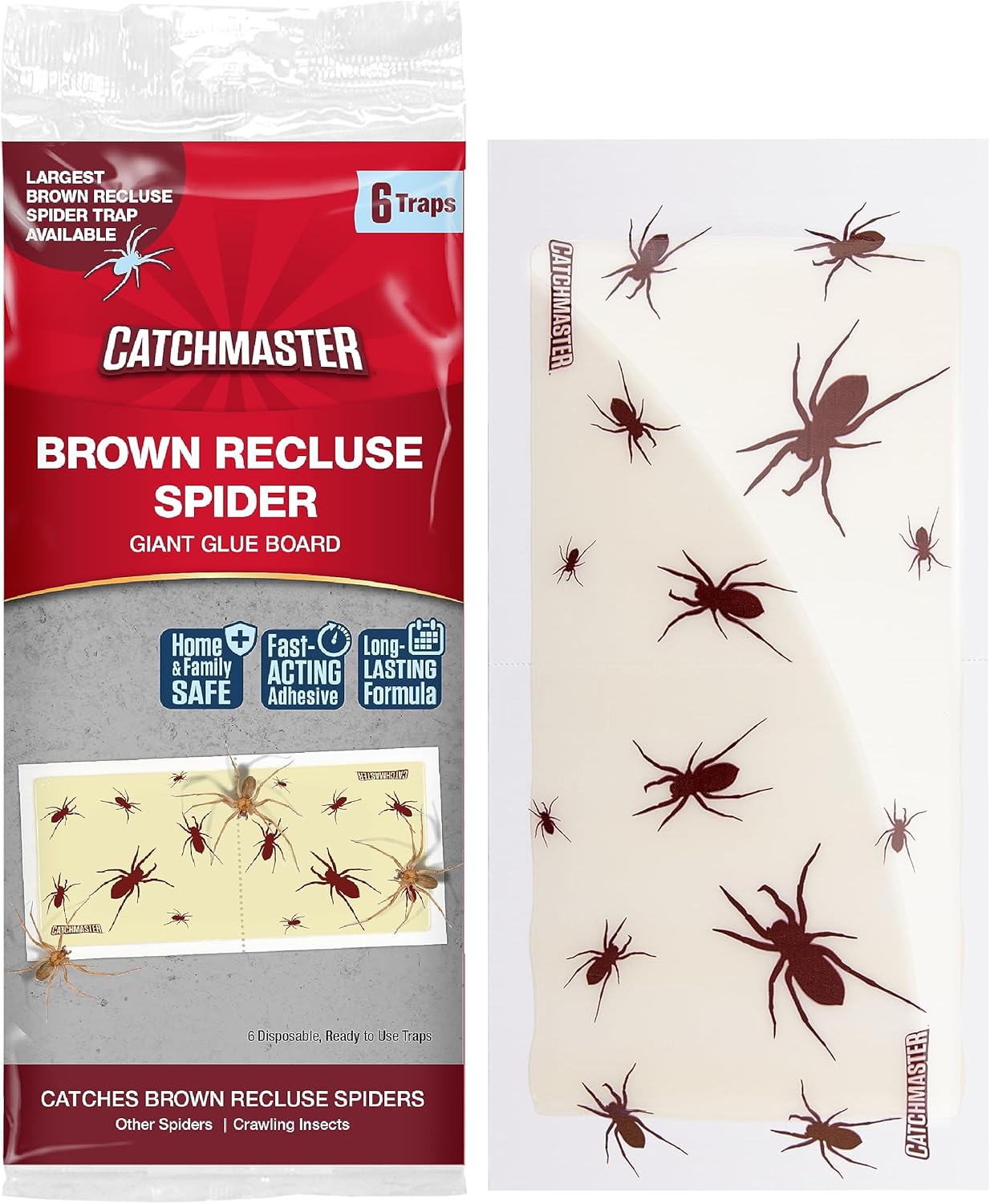 How to Get Rid of Brown Recluse Spiders: Complete Guide for Safe Removal