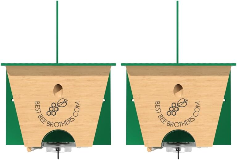 Carpenter Bee Traps: Complete Guide to DIY Plans and Commercial Options