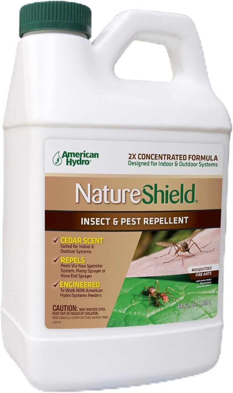 Best Spider Repellents in 2025: Complete Guide to Keep Your Home Spider ...
