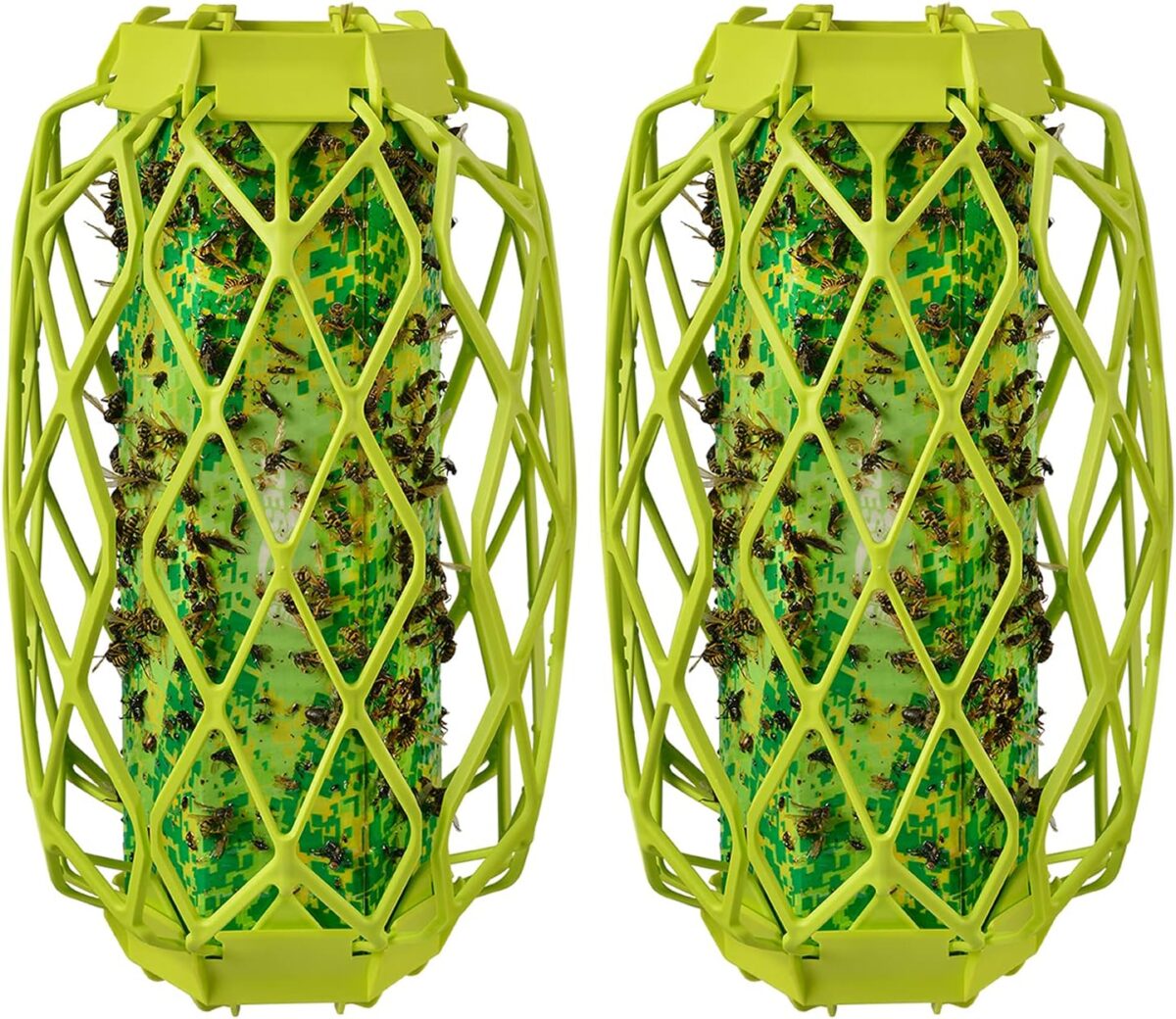 Carpenter Bee Traps: Complete Guide to DIY Plans and Commercial Options