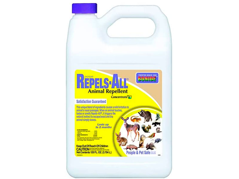 How to Get Rid of Chipmunks: Prevention, Repellents and Trapping Methods