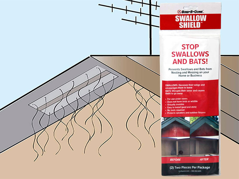 3 Best Bat Repellent Products [*2023 UPDATED*]: Expert Review