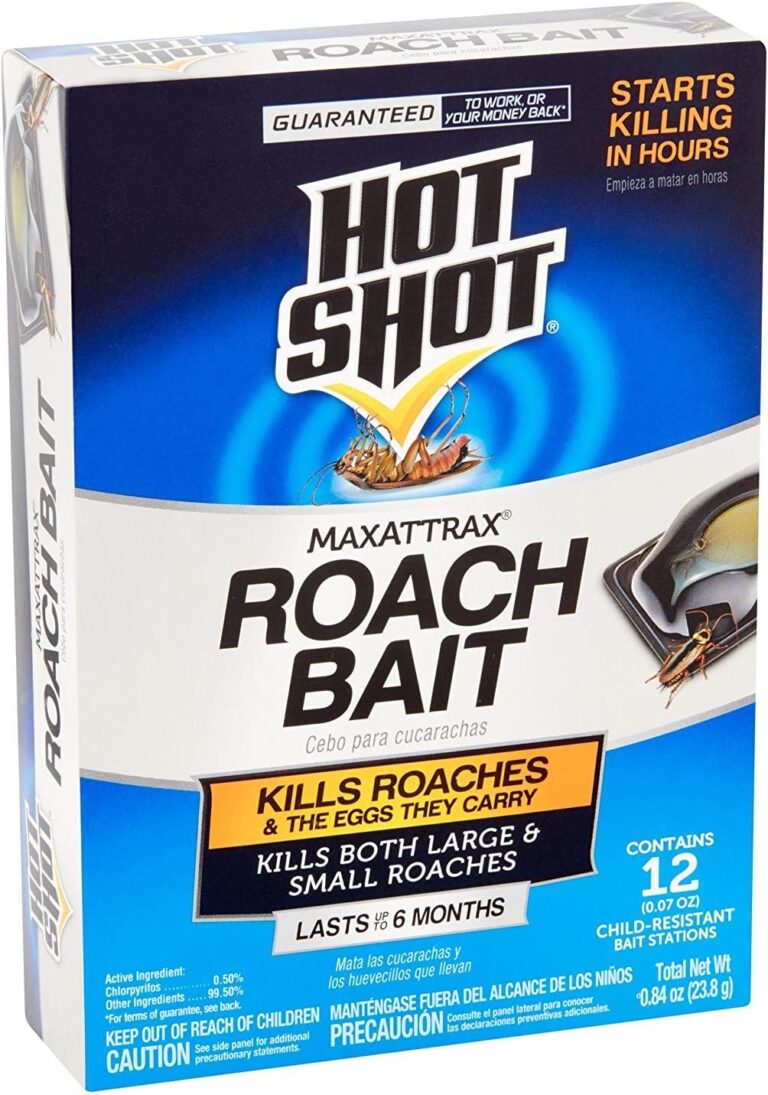 Best Cockroach Traps 2025: Expert Reviews & Buying Guide
