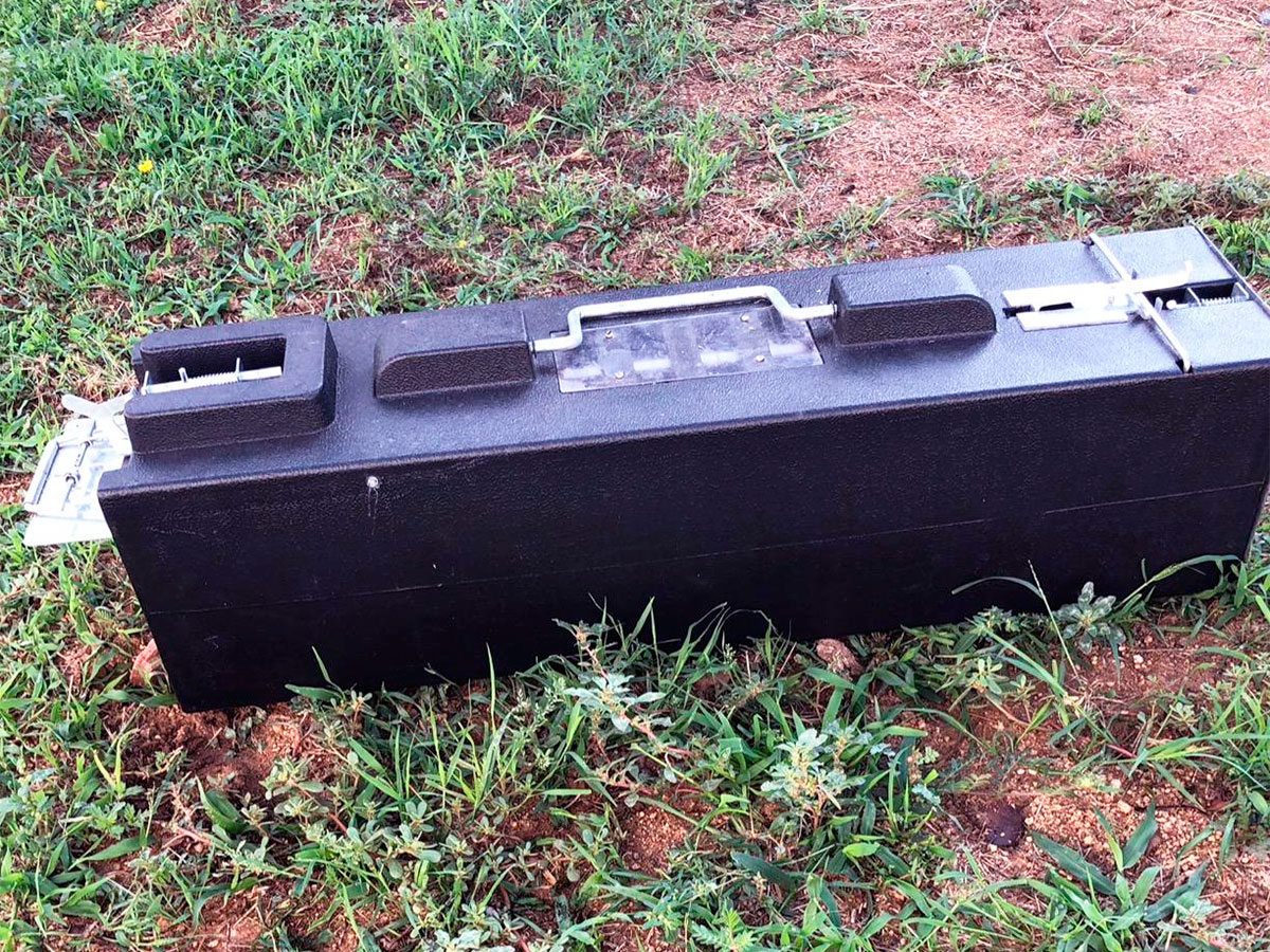 How to Get Rid of Skunks: 7 Effective Methods for 2025