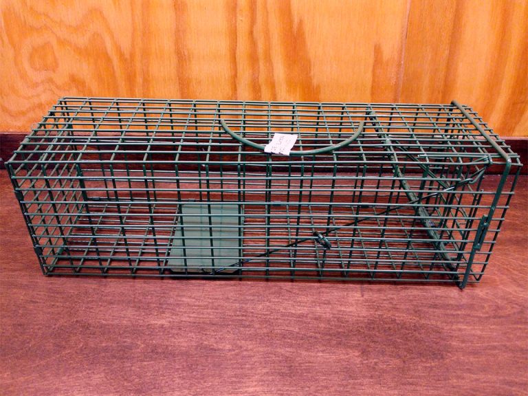 Best Rabbit Traps of 2025: Humane & Effective Solutions for Garden ...