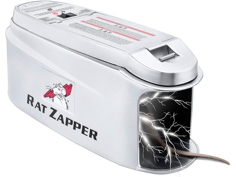 9 Best Rat Traps for Effective Control in 2025: Complete Buyer's Guide