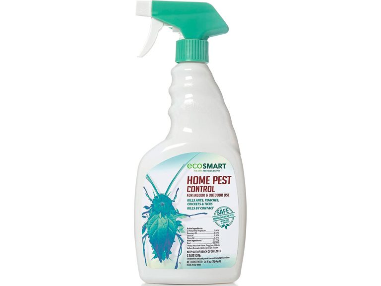 9 Best Pet Safe Ant Killer & Spray Products (2025 UPDATED)