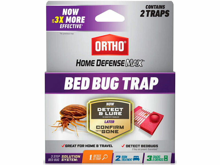 How to Get Rid of Bed Bugs in Carpet: Complete Detection & Treatment Guide