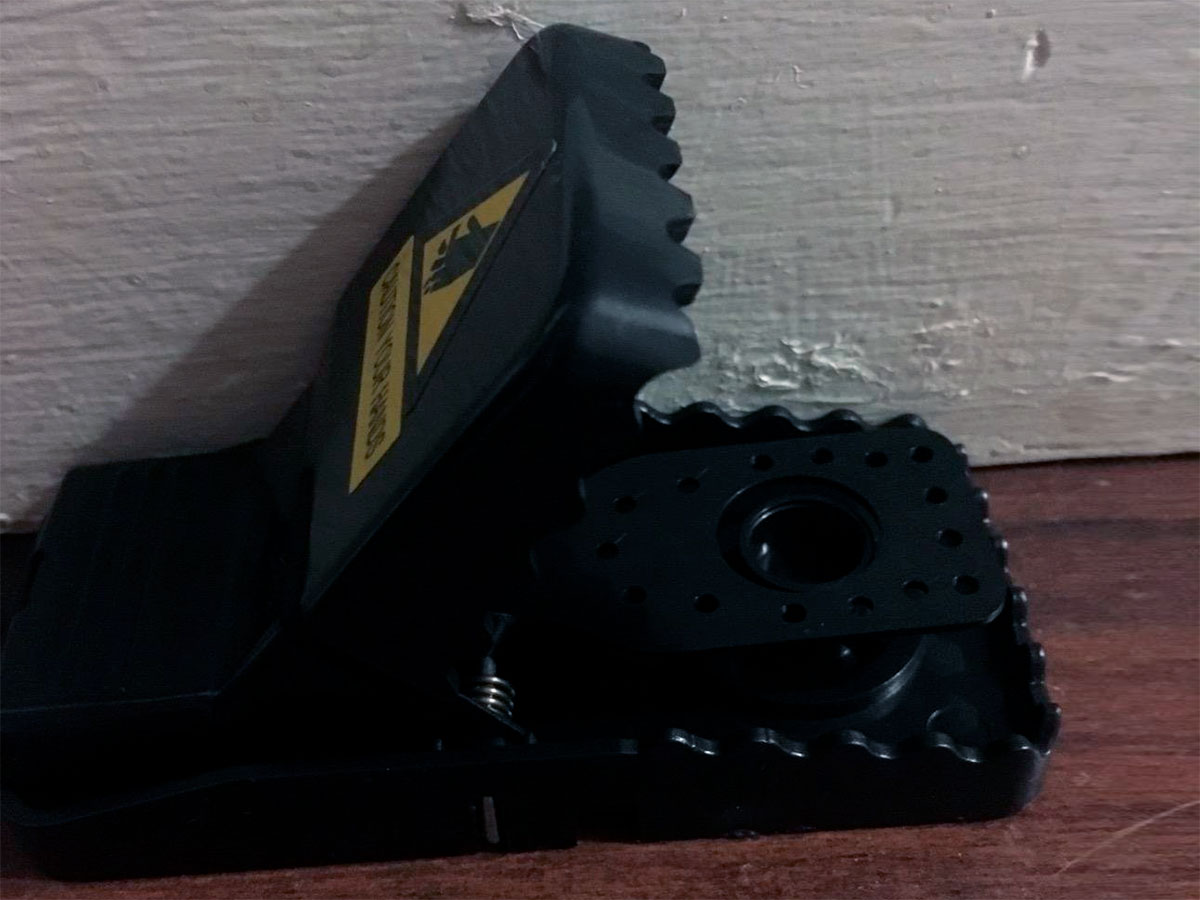 5 Best Mouse Traps [*2025 UPDATED*]: Review & Buyer's Guide