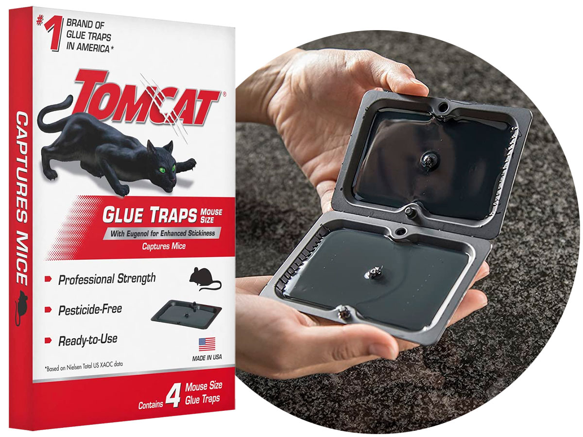5 Best Mouse Traps [*2025 UPDATED*]: Review & Buyer's Guide