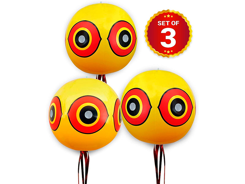 How to Get Rid of Crows: 7 Expert Methods That Actually Work