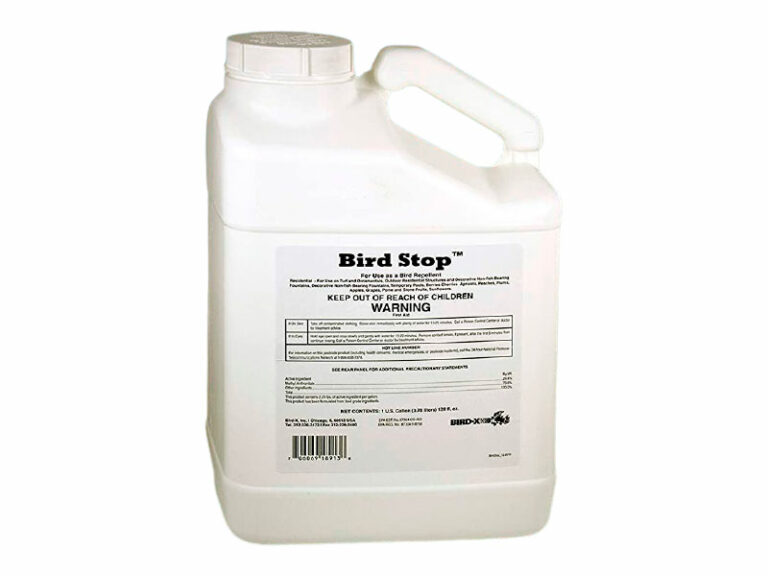 7 Ways on How to Get Rid of Crows [*2025 UPDATED*]