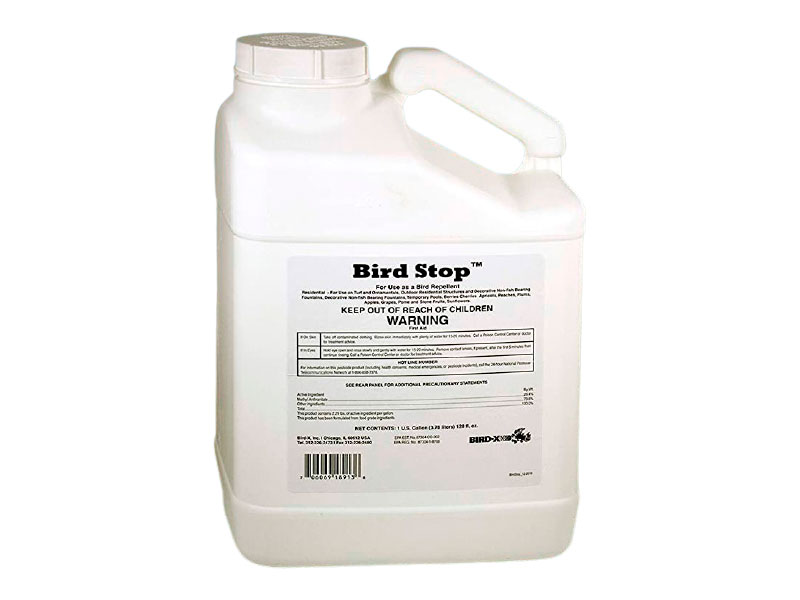 7 Ways on How to Get Rid of Crows [*2025 UPDATED*]