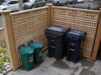 How to Get Rid of Mice: 5-Step Complete Guide to Elimination and Prevention