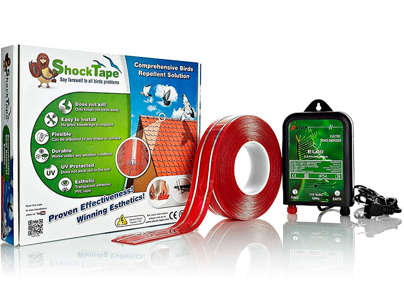 7 Ways on How to Get Rid of Crows [*2025 UPDATED*]