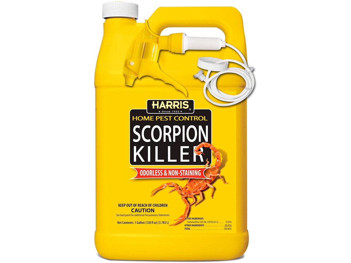 Best Scorpion Killers: Expert Reviews & Buyer's Guide [2025]