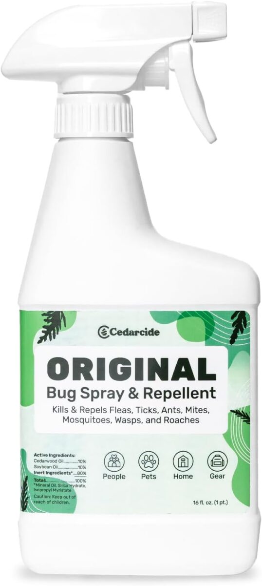 Silverfish Repellent Guide: 8 Natural Methods That Actually Work
