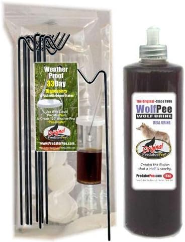 Coyote Repellent Guide 2025: 5 Proven Methods to Keep Coyotes Away