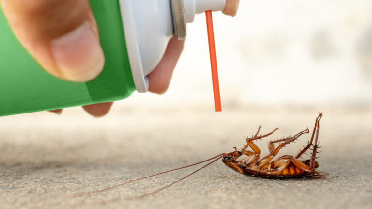 Best Cockroach Sprays 2025: Reviews & Buying Guide