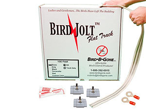 How to Get Rid of Starlings: Efficient Starling Control Information