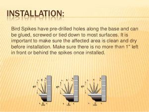Best Bird Spikes of 2025: Complete Guide to Effective Bird Control
