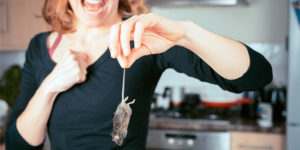 How to Clean Up After Mice: Remove Odors, Droppings, and Nests!
