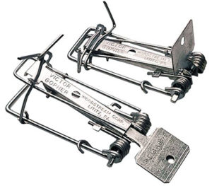 Ultimate Guide to the Best Gopher Traps: Expert Reviews & Proven ...