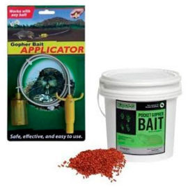 5 Steps on How to Get Rid of Gophers: Complete Guide