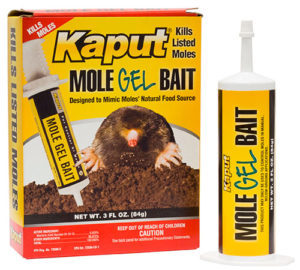 How to Kill Moles: Effective and Quick Ways of Eliminating the ...