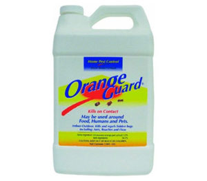 Best Ant Repellents for 2025: Complete Guide to Keeping Ants Away