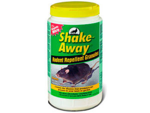 How to Get Rid of Shrews: Effective Control Methods & Prevention Tips