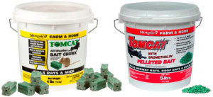 Learn How to Kill Mice Fast: You Don't Have to Share Your Home with ...